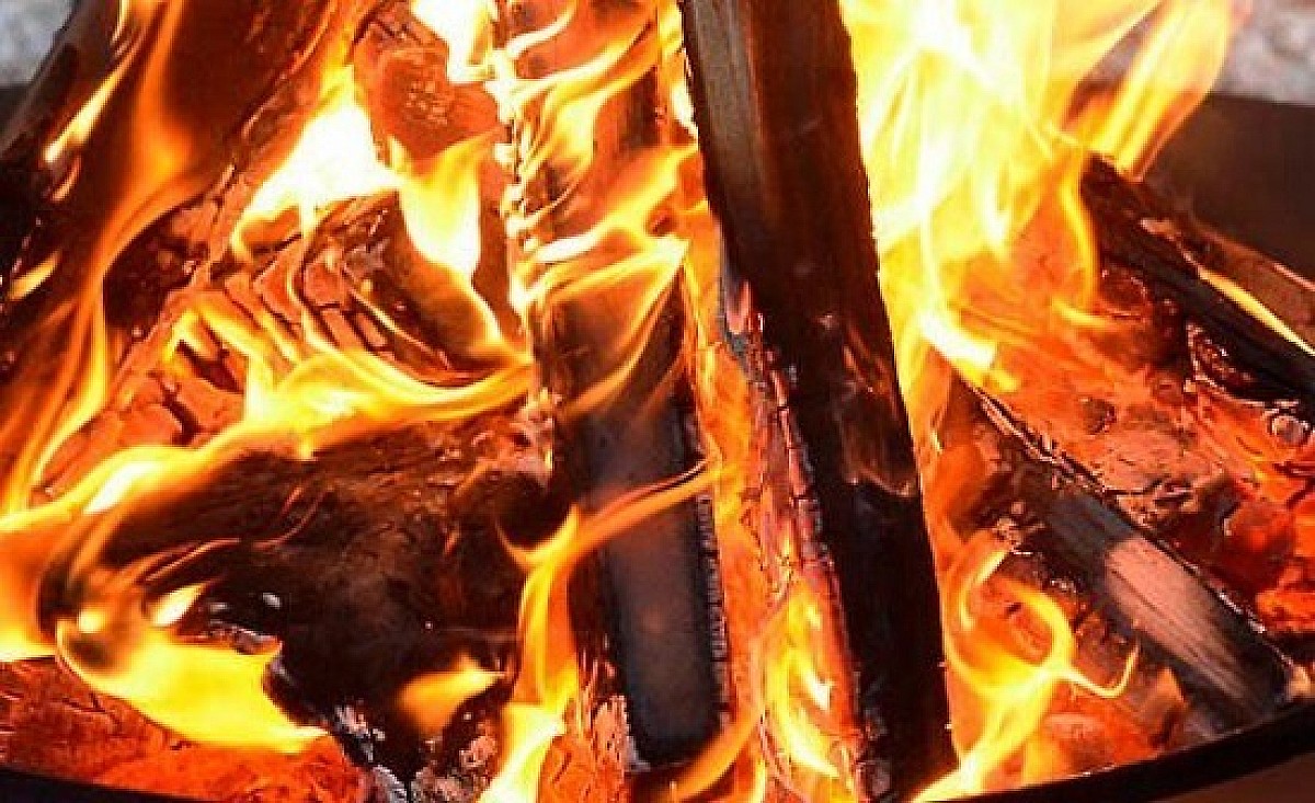 Decreto attuativo della Direttiva RED II: nuovi requisiti della legna ...