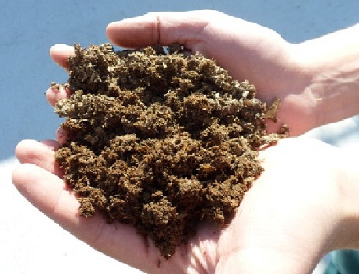 Piemonte, approvate le linee guida per la classificazione del digestato ...