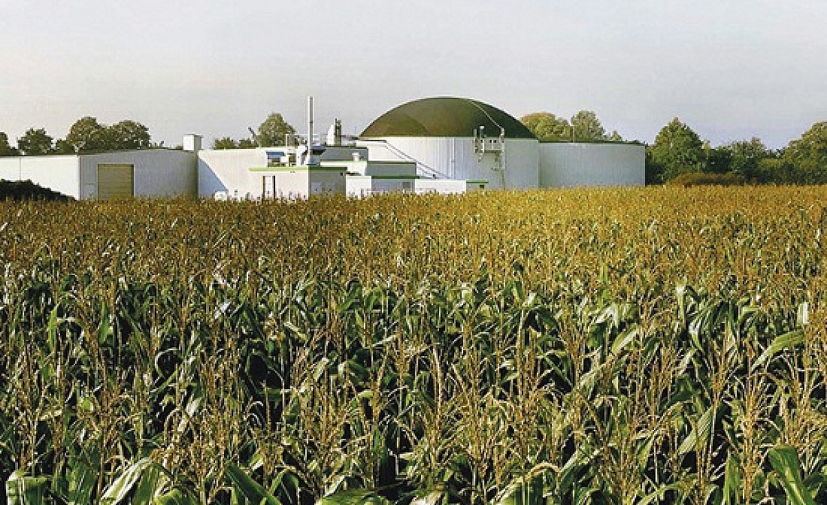 Veneto, introdotte restrizioni per gli impianti a biomasse | Build News